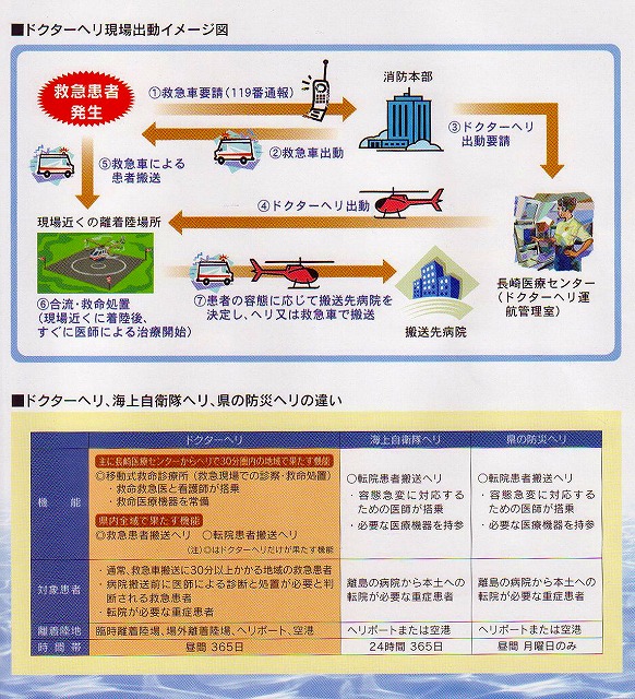 茧ƒhƒNƒ^ [ƒwƒŠ 茧ƒhƒNƒ^ [ƒwƒŠ